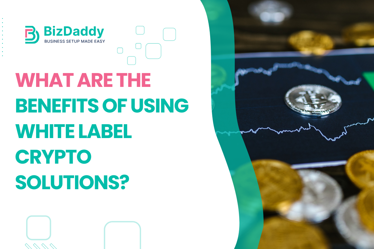 What Are The Benefits Of Using White Label Crypto Solutions?